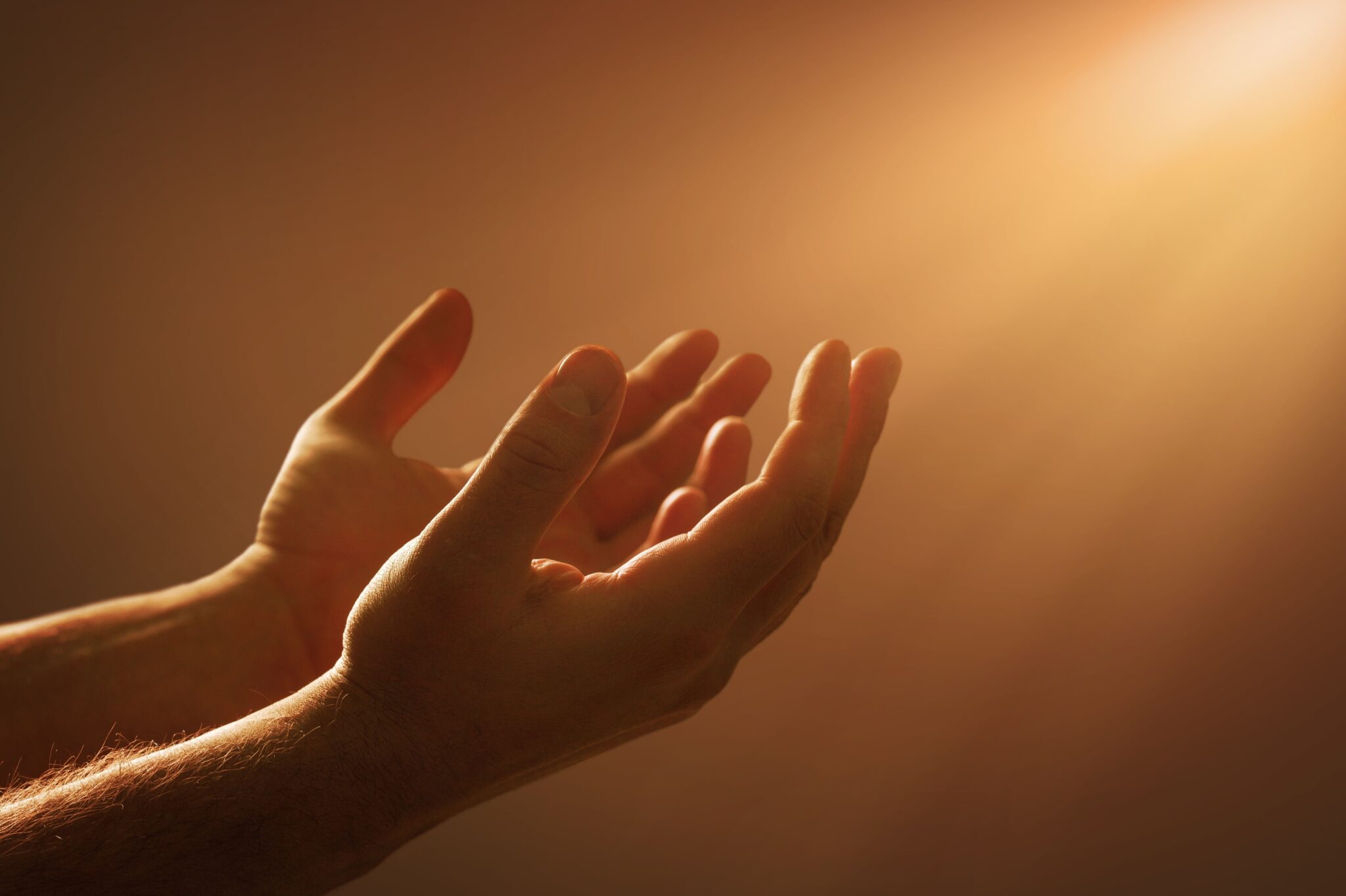 Ignite Updates Archive | Ignite America